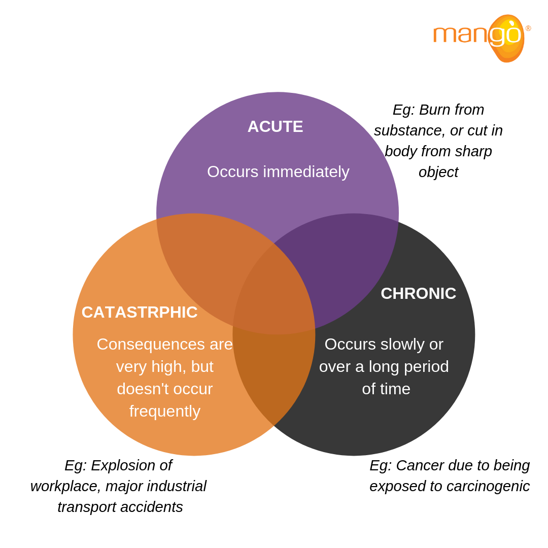 What is Risk Management