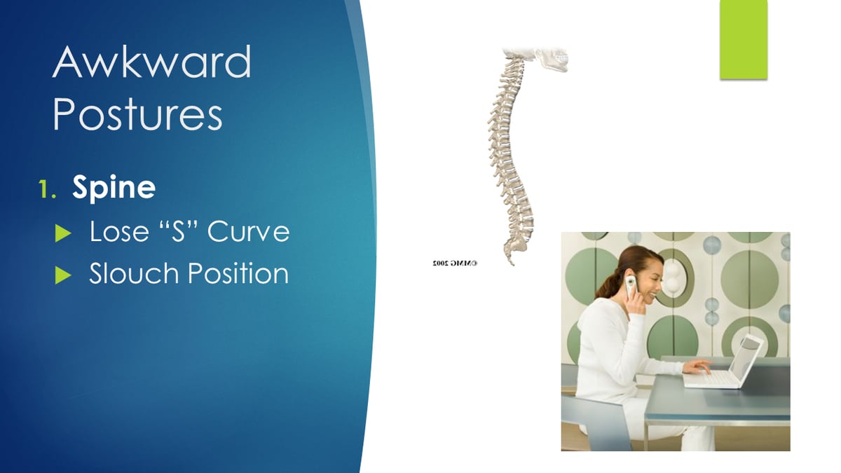 Everything You Need to Know About Office Ergonomics - The 5 Minute ...