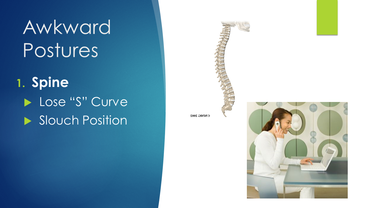 Everything You Need to Know About Office Ergonomics - The 5 Minute ...