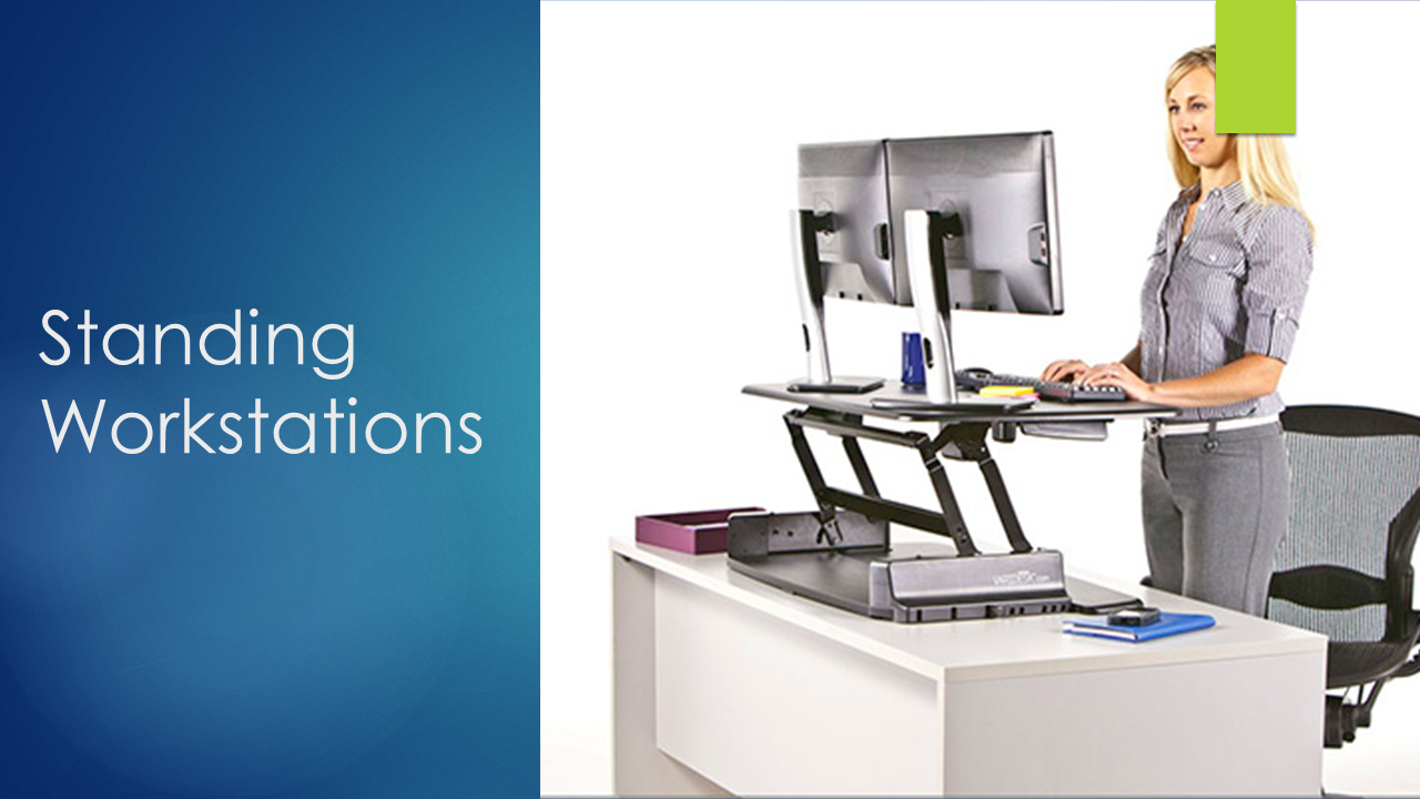 Everything You Need to Know About Office Ergonomics - The 5 Minute ...